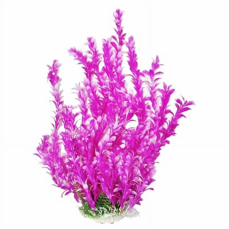 AQUATOP 16 Inch Bacopa-Like Aquarium Plant with Weighted Base PD-BH24 ...