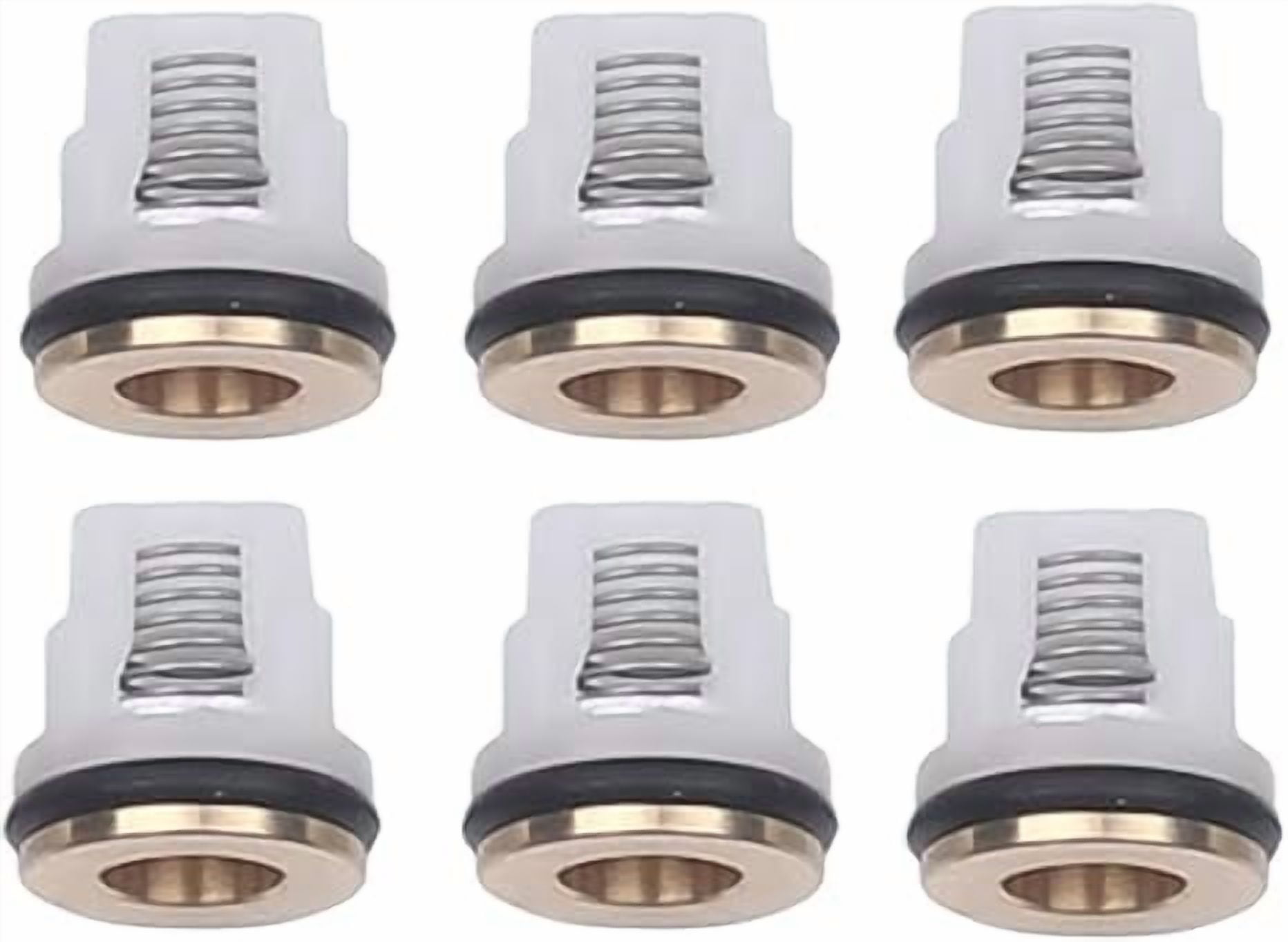 AR Check Valve Kit Compatible with Annovi Reverberi RMW RMV SRMV ...