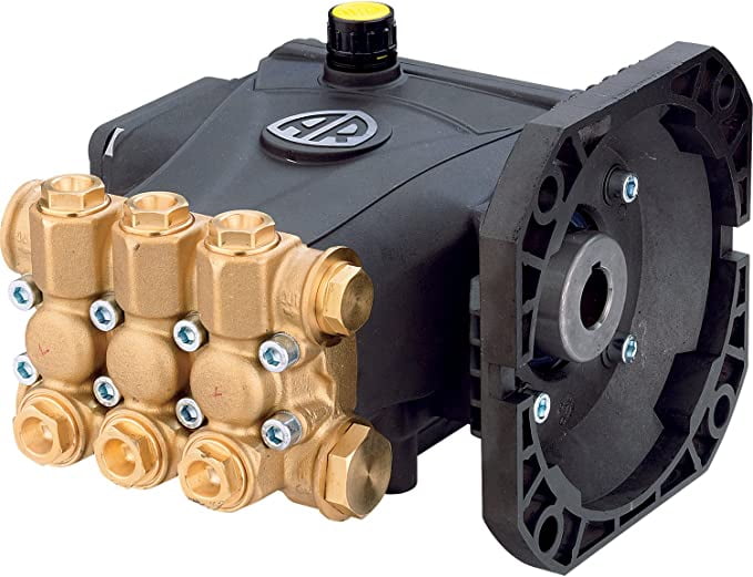 AR North America RCAM1G15E-F8 1500 PSI/1.0 GPM Misting Annovi Reverberi ...