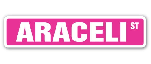 ARACELI Street Sign Childrens Name Room Sign | Indoor/Outdoor | 36 ...