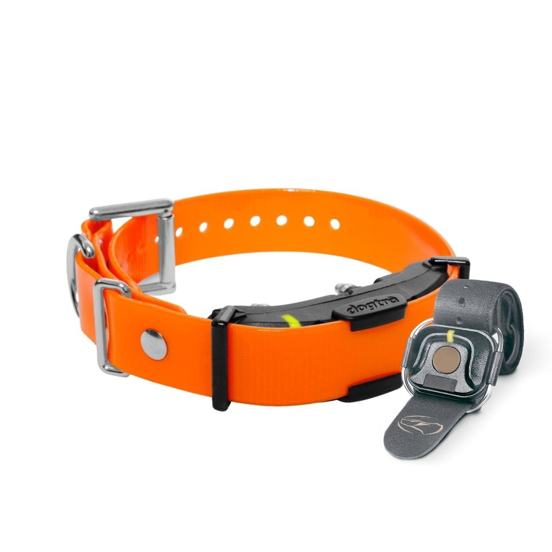 ARC Handsfree Plus Boost and Lock Additional Collar - Walmart.com
