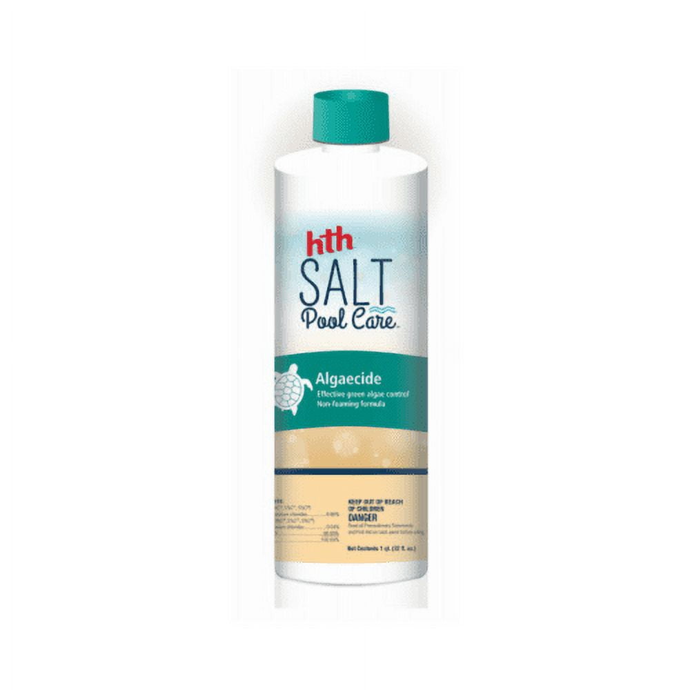 HTH Salt Pool Care 1 Qt. Liquid Algaecide 67002 Pack of 4 - Walmart.com