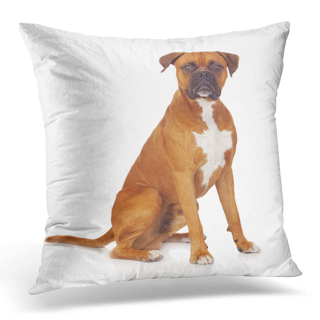 ARHOME Brown Large Beautiful Boxer Dog White Portrait Pillow Case ...
