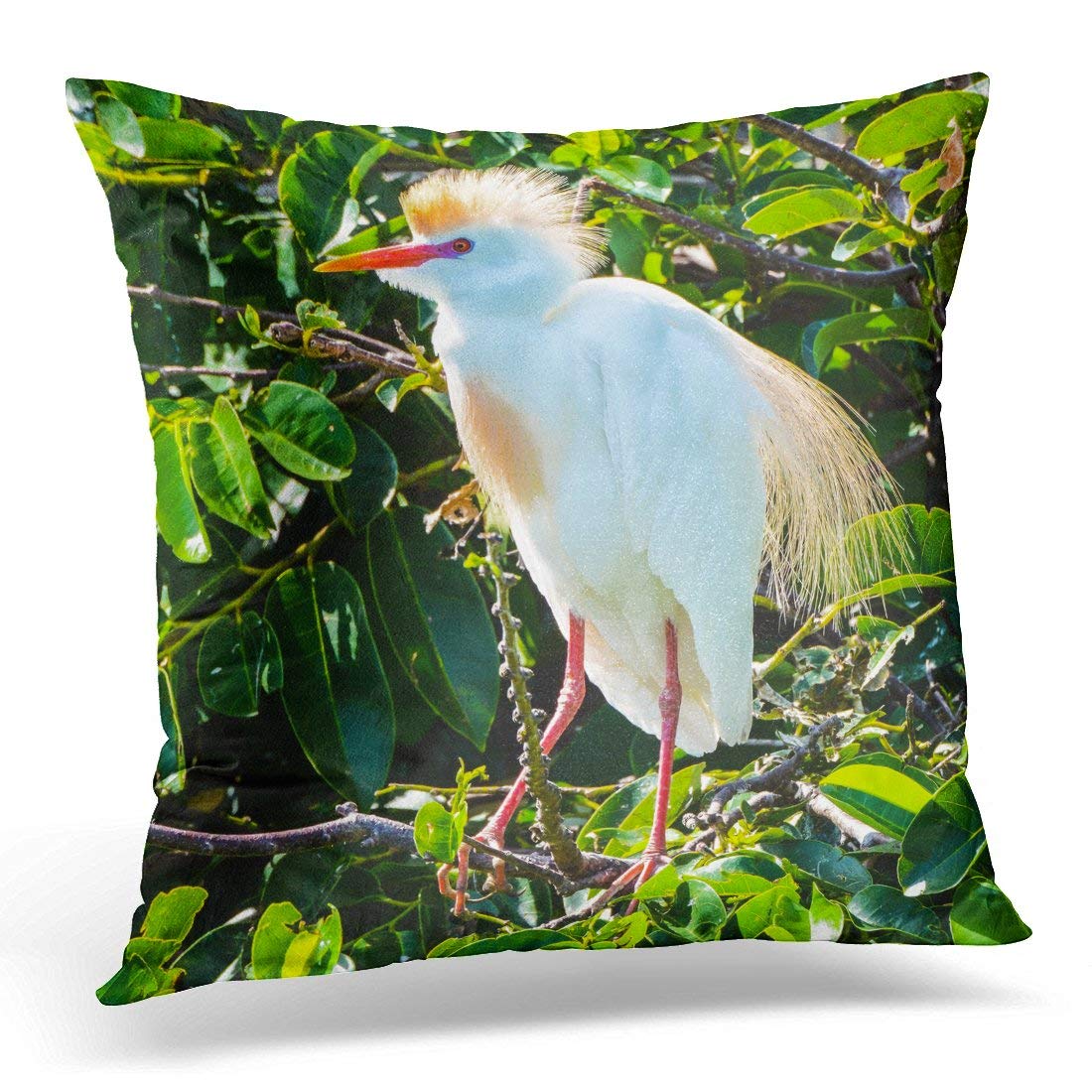 ARHOME Orange Animal Male Cattle Egret Perching in Tree Florida Wetland ...