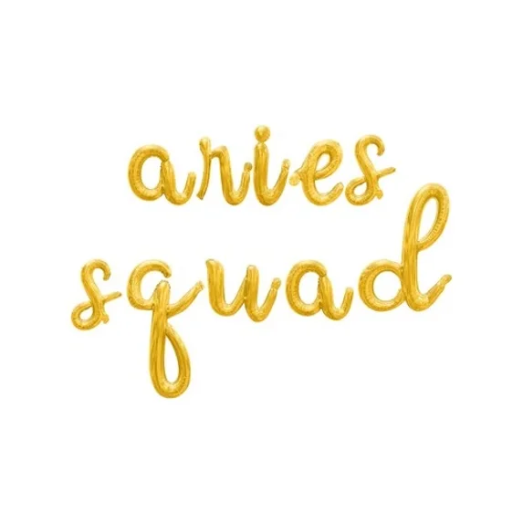 ARIES SQUAD Cursive Letter Balloon Banner - Zodiac Birthday Party ...