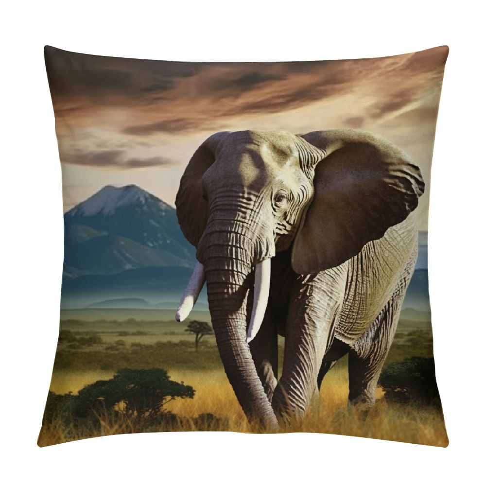 Jiayy African Elephant on The Prairie Rustic Farmhouse Style Decorative ...