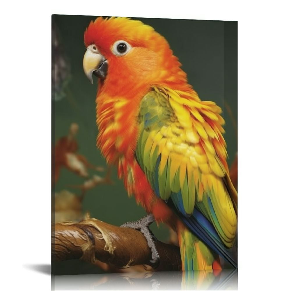 ARISTURING Animal Sun Conure Parrot Bird, Bird 19 Canvas Poster Wall ...