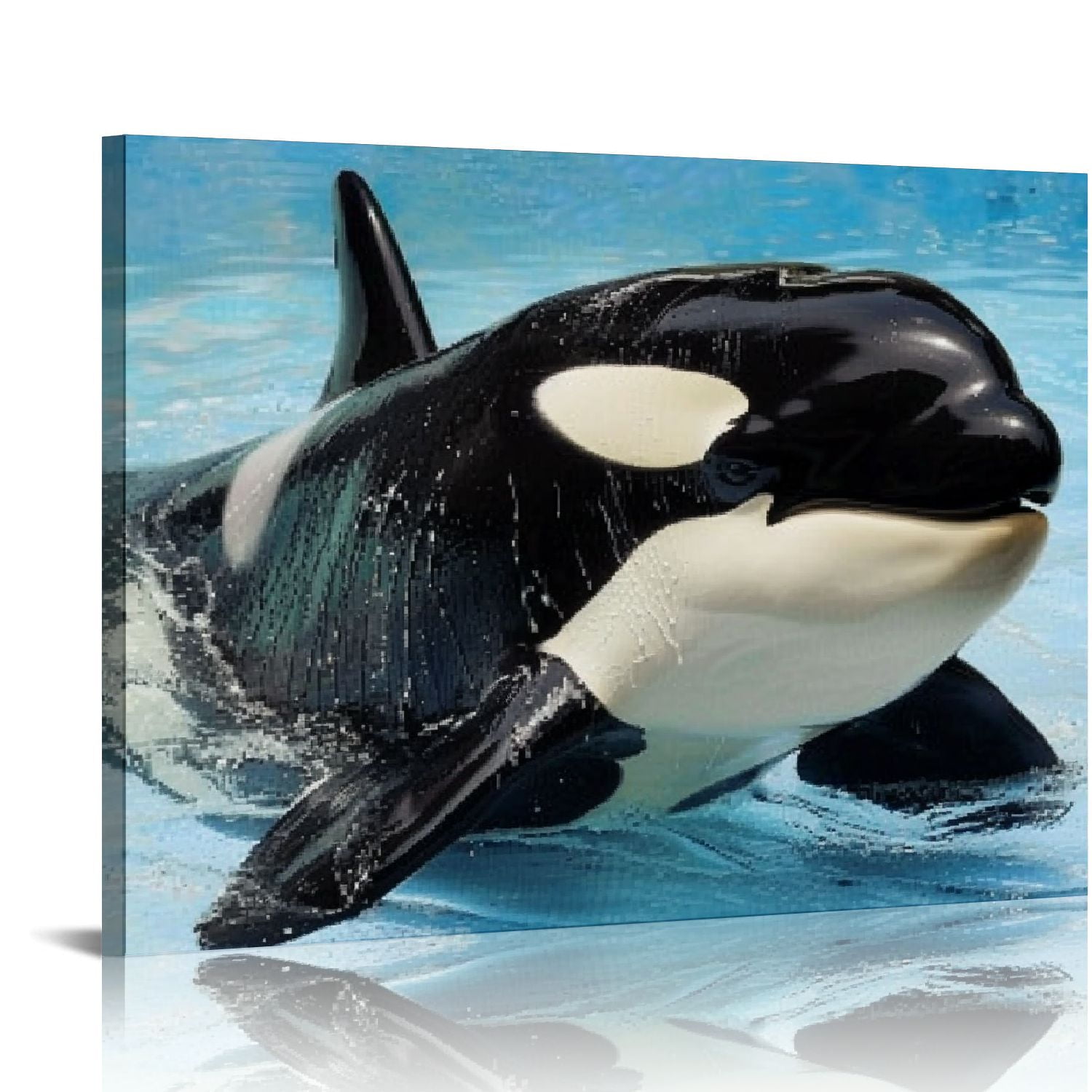 ARISTURING BEAUTIFUL ORCA GLOSSY POSTER PICTURE PHOTO Killer Whale Cute ...