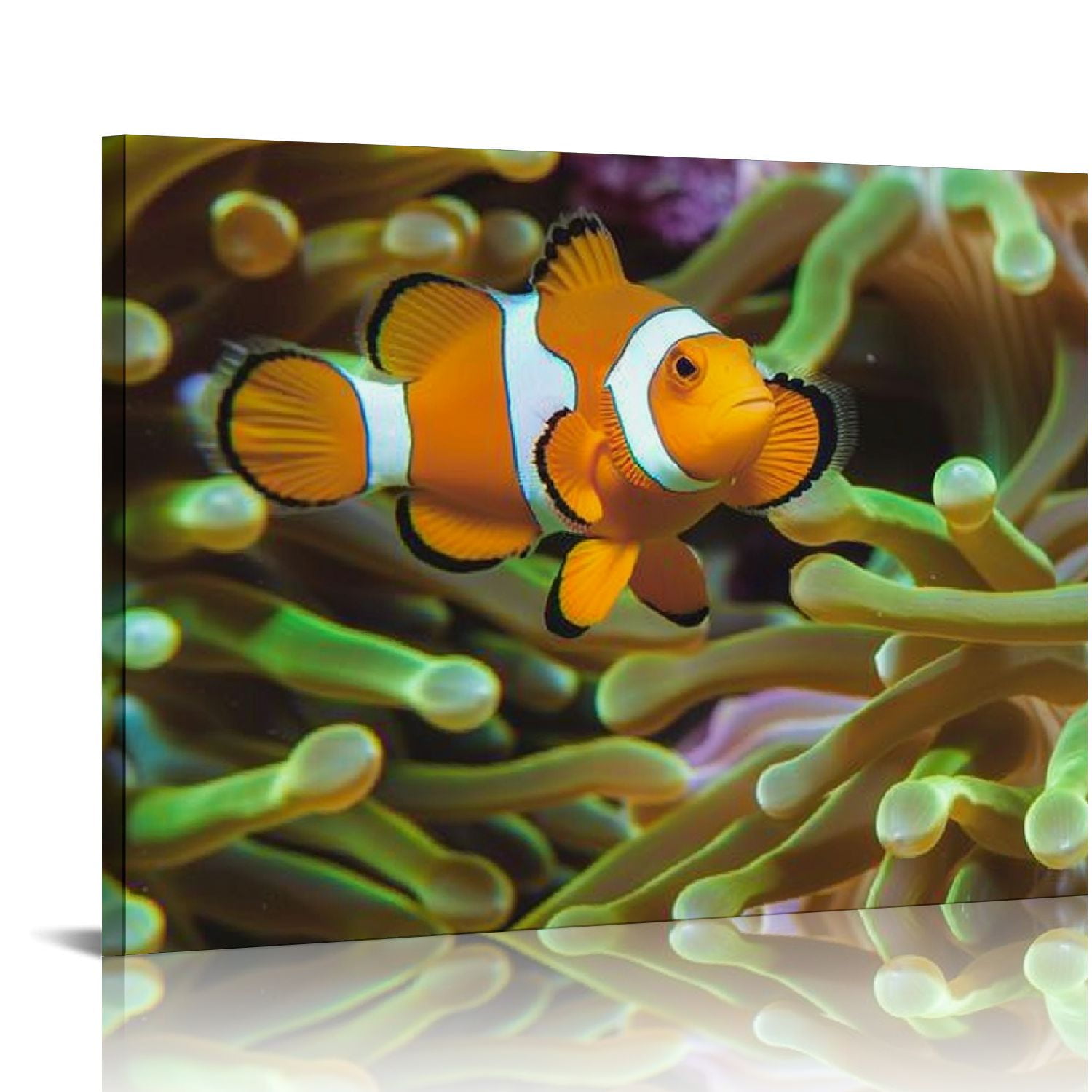 ARISTURING Bali Ocean Clownfish Anemonefish Room Aesthetics Posters ...
