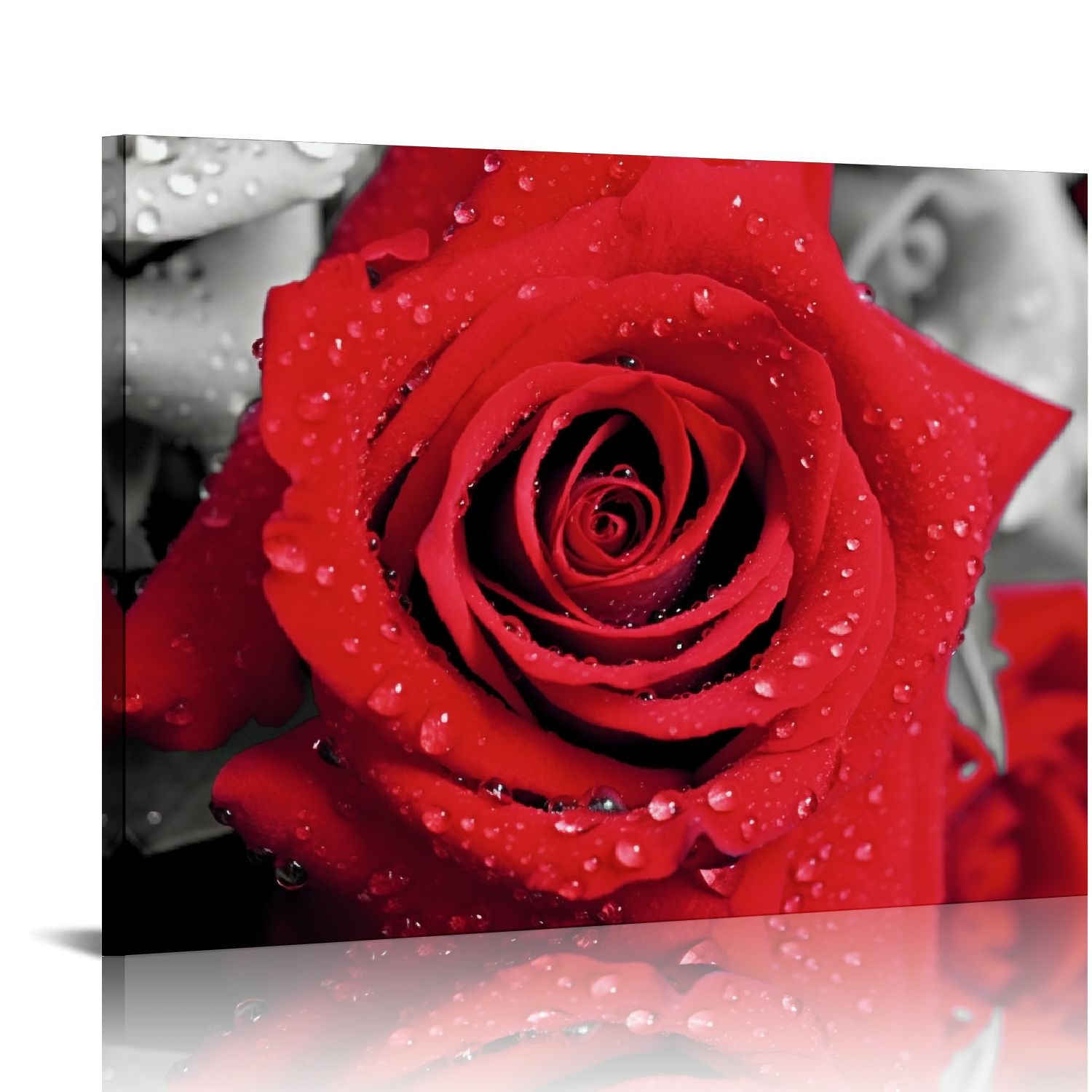 ARISTURING Black White And Red Rose Canvas Wall Art, Abstract Rose ...