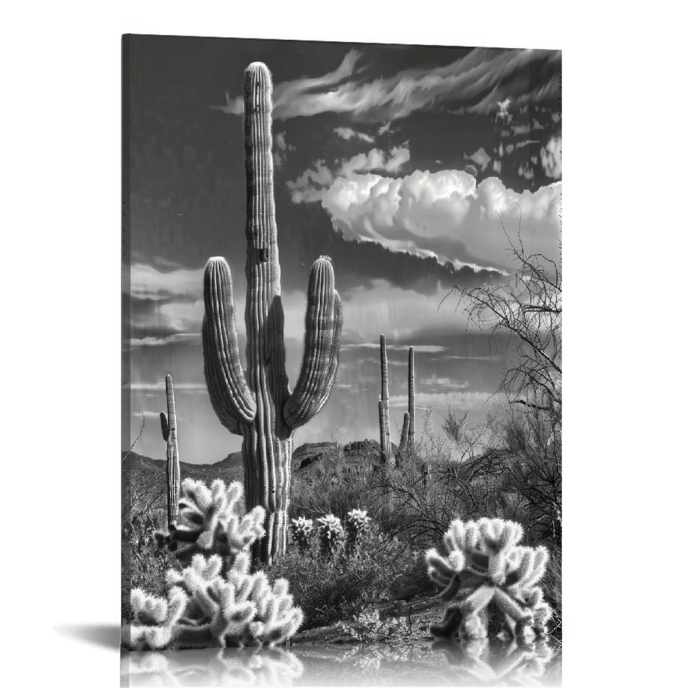 ARISTURING Black and White Wall Art for Bedroom Sonoran Desert Canvas ...