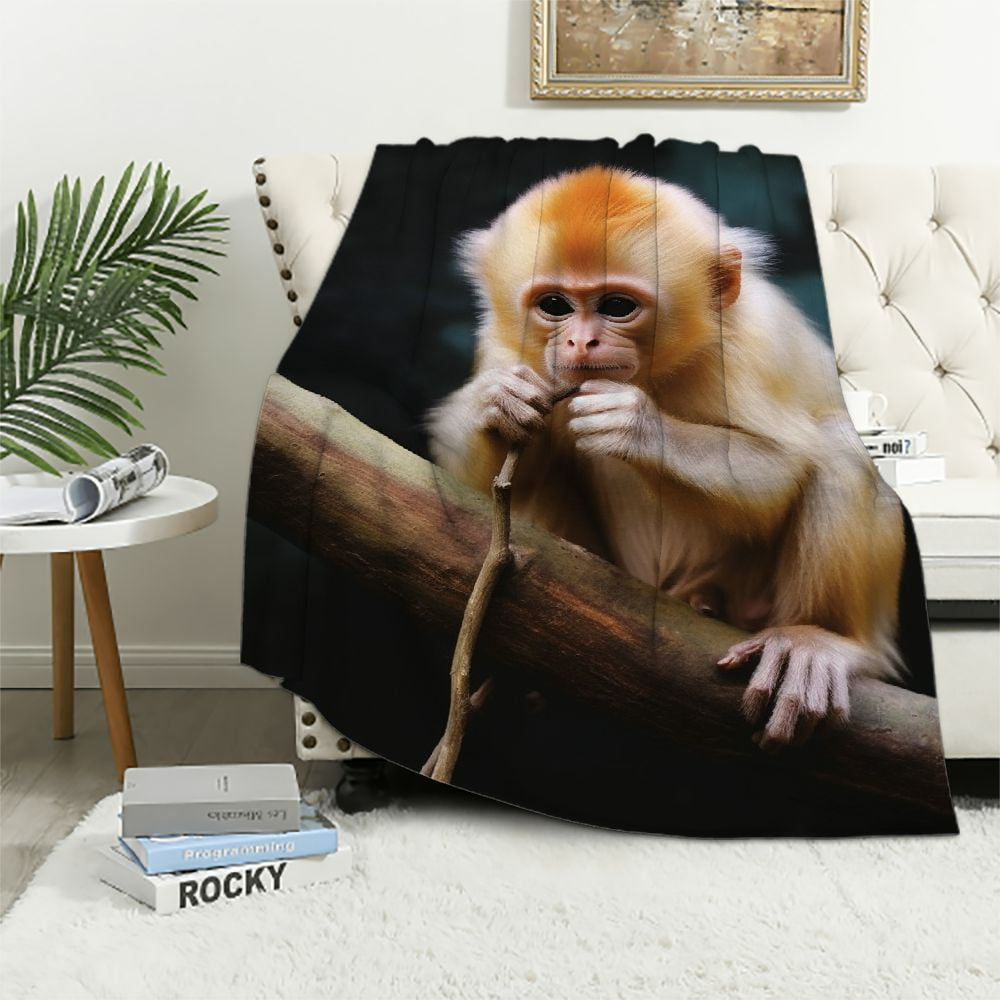 ARISTURING Blanket Comfort Warmth Soft Plush Throw for Couch Little ...