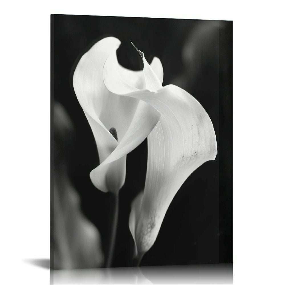 ARISTURING Calla Lily Canvas Wall Art: Black and White Flower Artwork ...