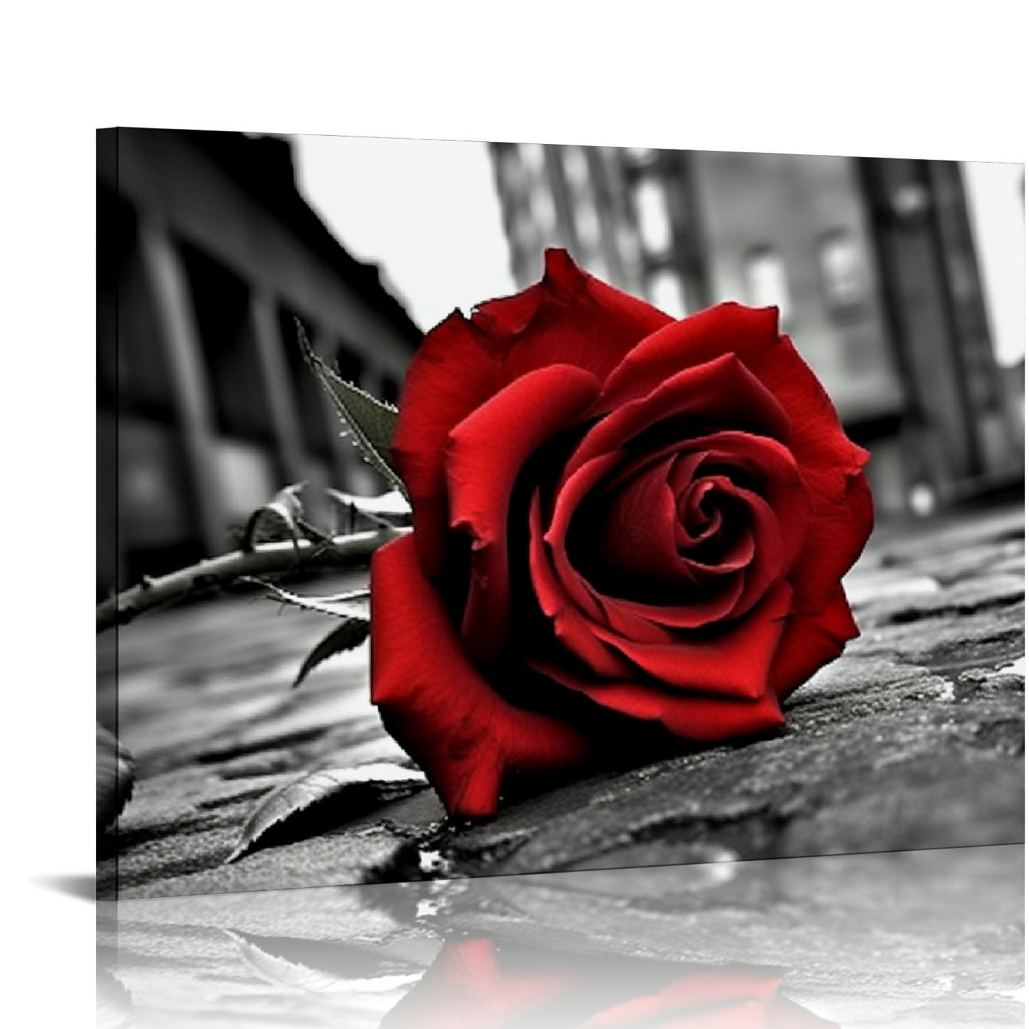 ARISTURING Canvas Print Black and White Red Rose Canvas Art Painting ...