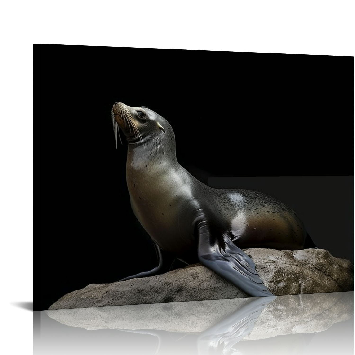 Jiayy Canvas Wall Art Sea Lion Poster Pictures Wall Decor Animal Prints ...