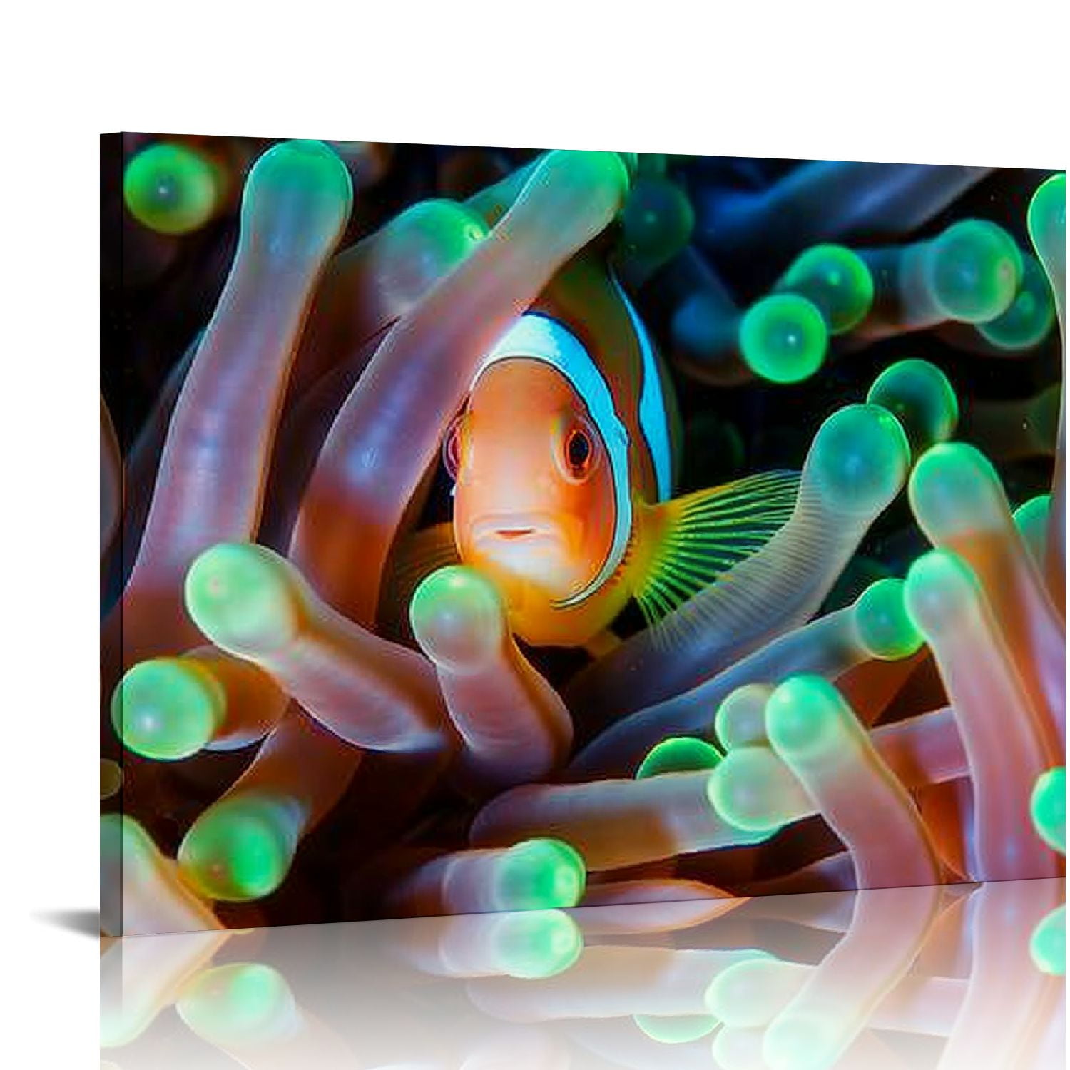 ARISTURING Clownfish Canvas Wall Art Ready to hang 20x16 inch - Walmart.com