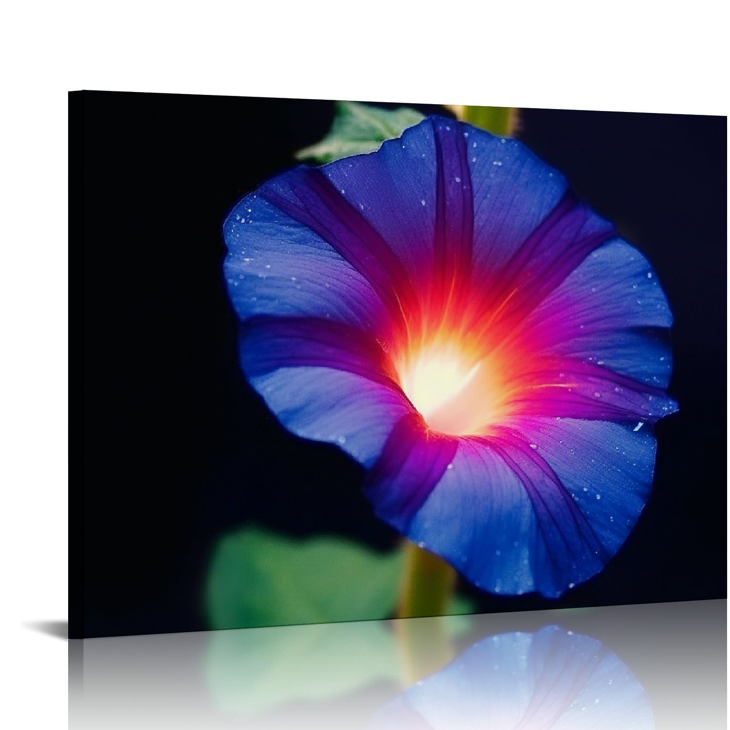 ARISTURING "Deep Blue Morning Glory" Artwork Canvas Wall Art - Walmart.com