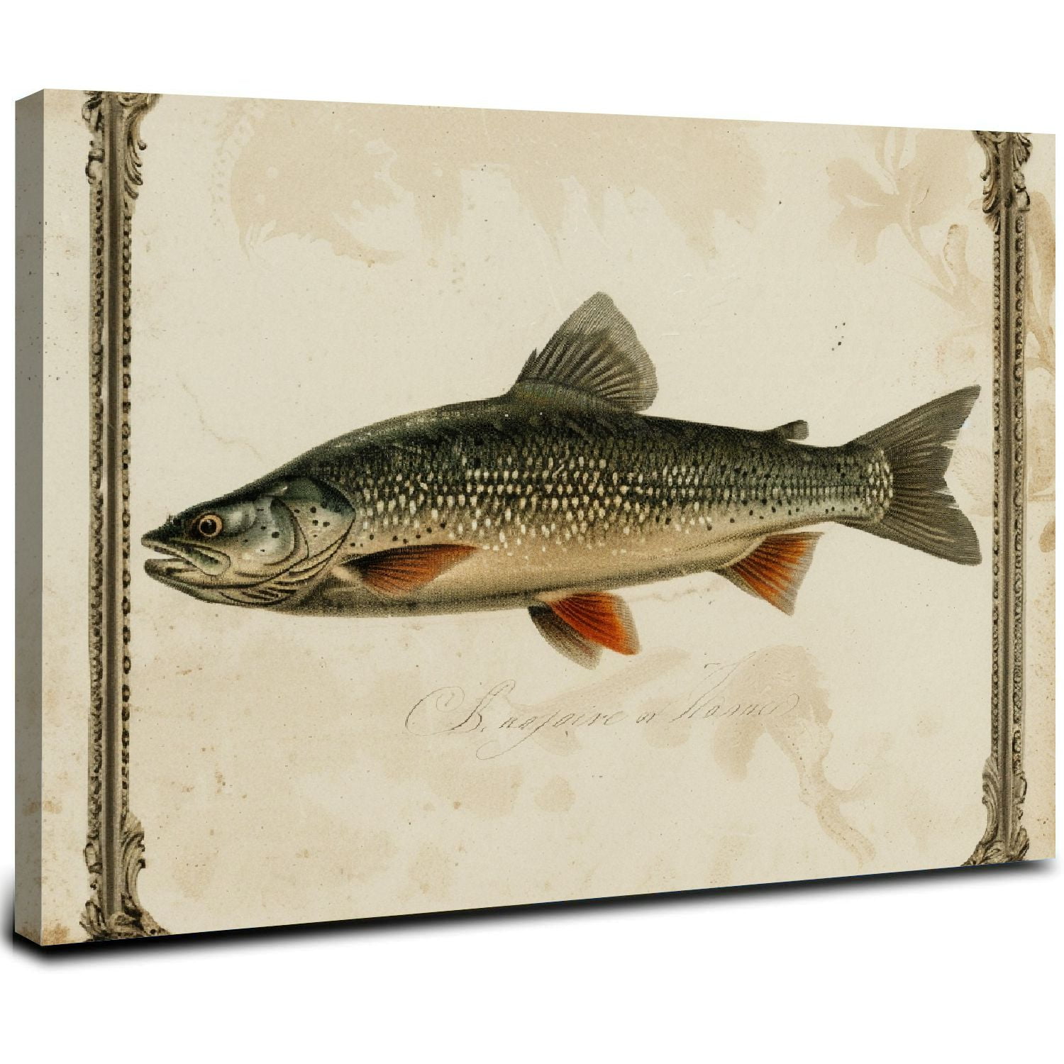 ARISTURING Fish Wall Art Prints Vintage Fishing Decor - Reproductions ...