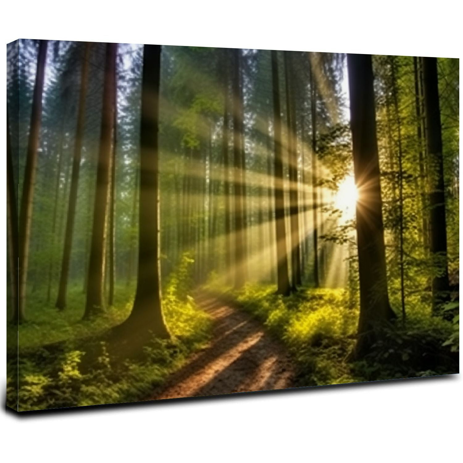 ARISTURING Forest Wall Art Nature Pictures Wall Decor Living Room ...