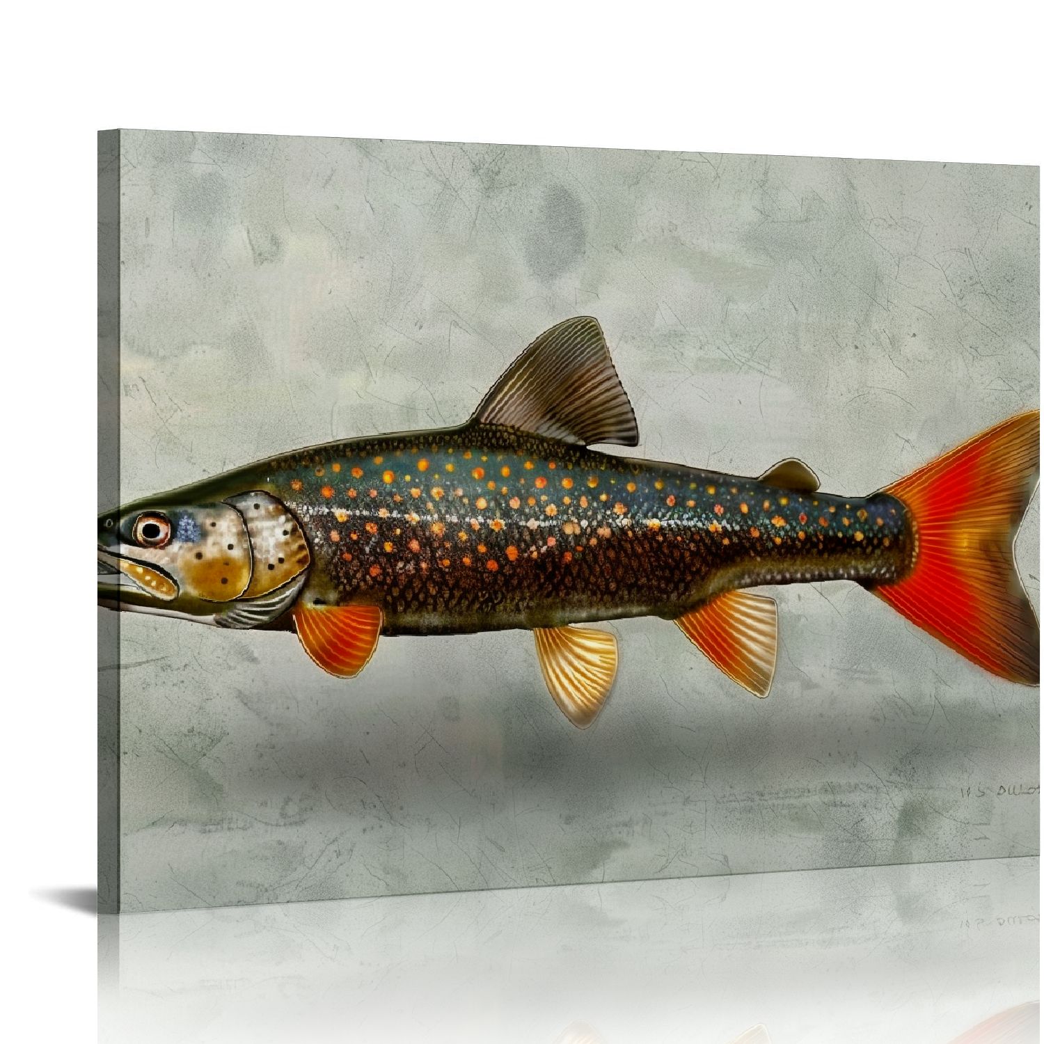 ARISTURING Framed Canvas Print Wall Art Trout Fish on Granite Background Marine Life Animals ...