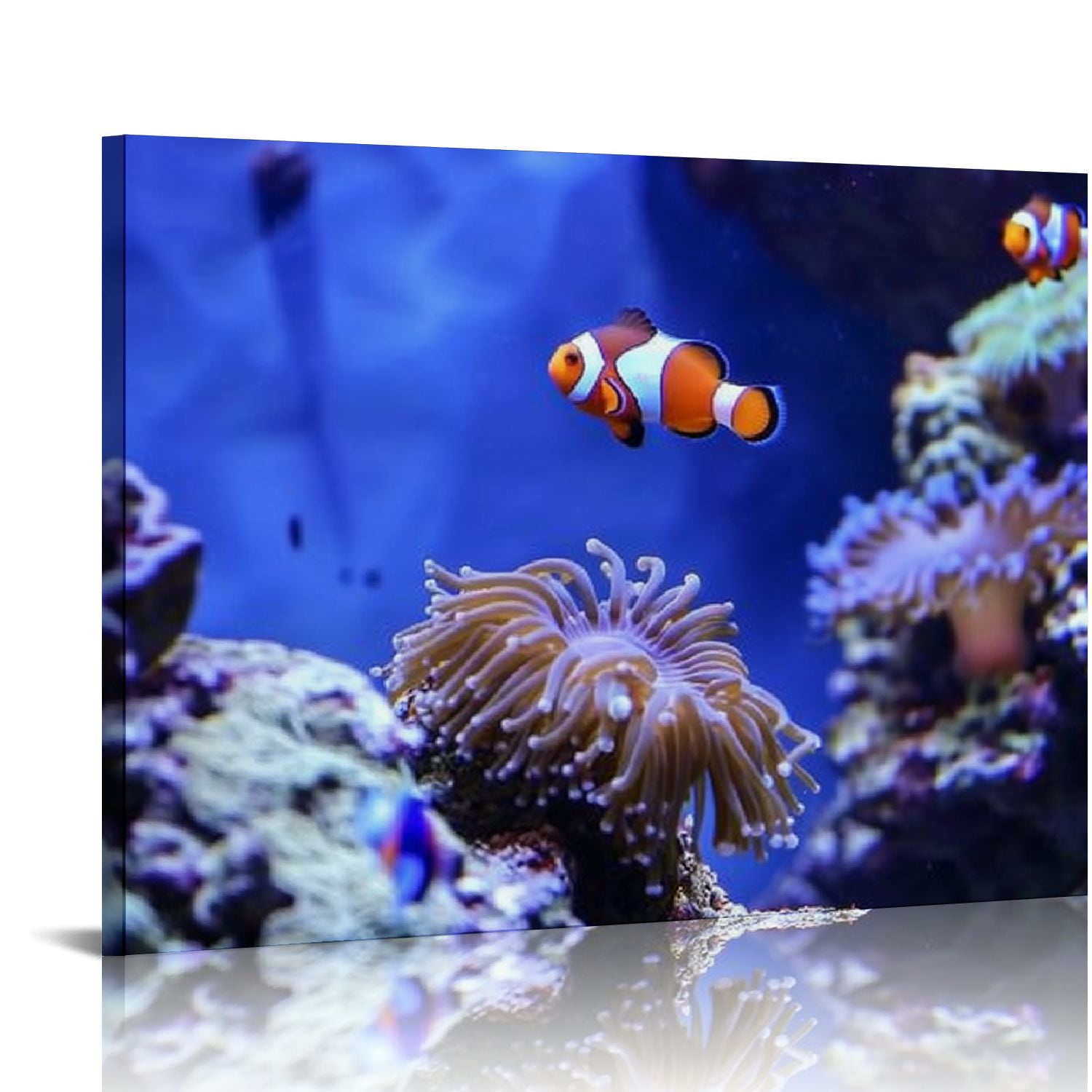 ARISTURING Framed Canvas Wall Art Clownfish Colorful Fish Group Marine ...