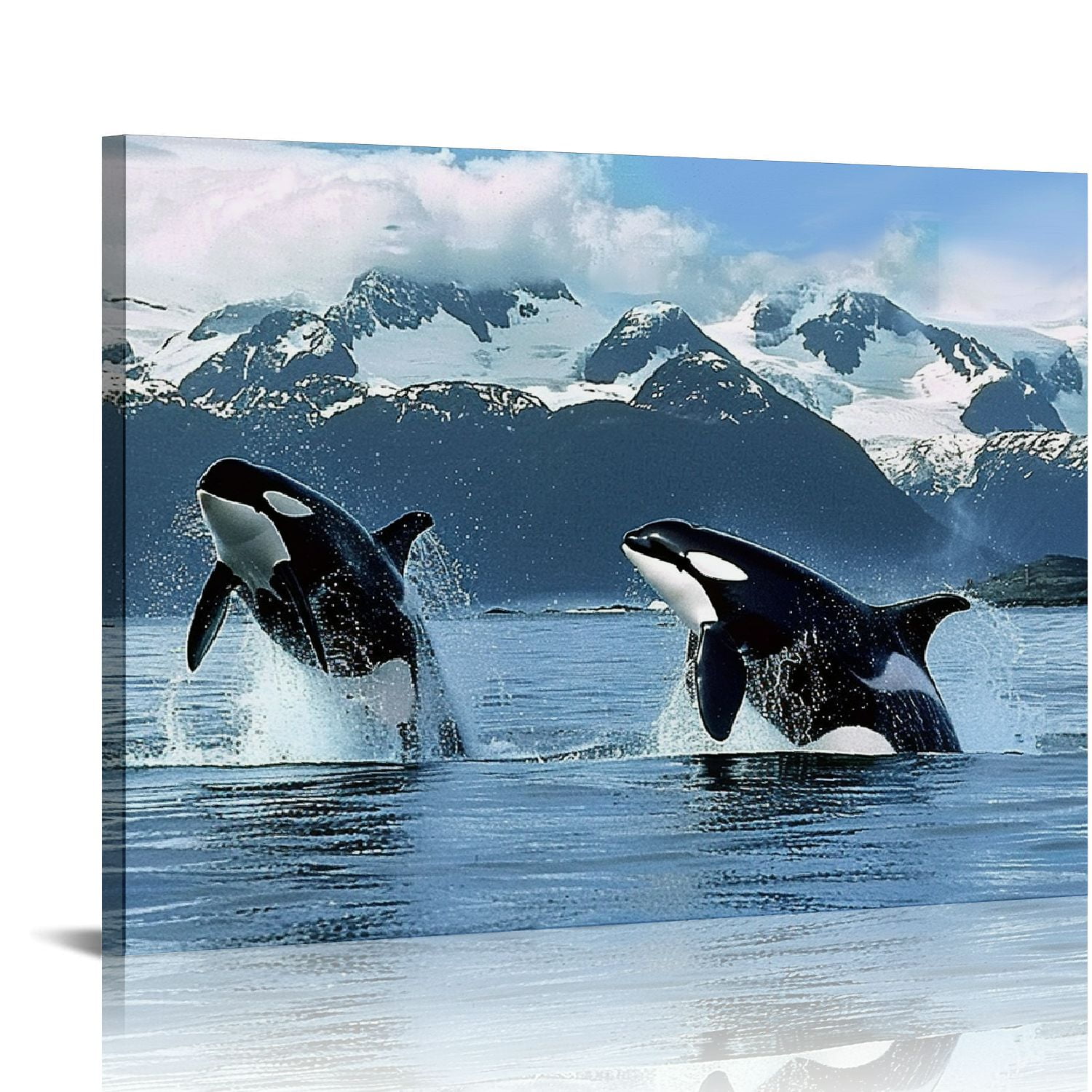 ARISTURING Killer Whale Orca Iceberg Blue Ocean Theme Pair Leaping ...