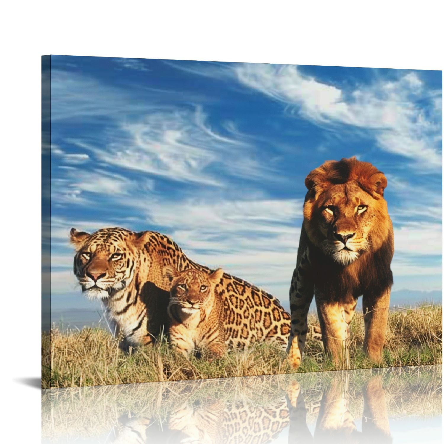 Jiayy Lions Tiger Leopard pictures Canvas Print Artwork Beast Animals ...
