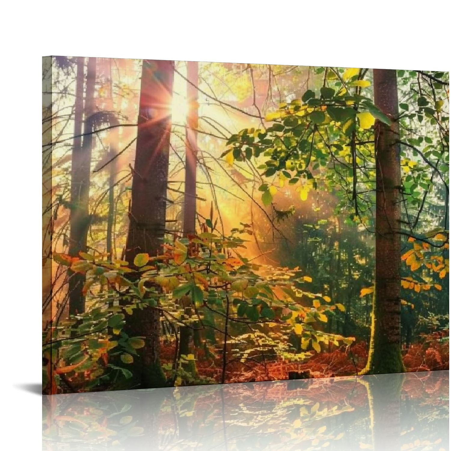 ARISTURING Mystery Forest Light Wall Art, Nature Landscape Pictures ...