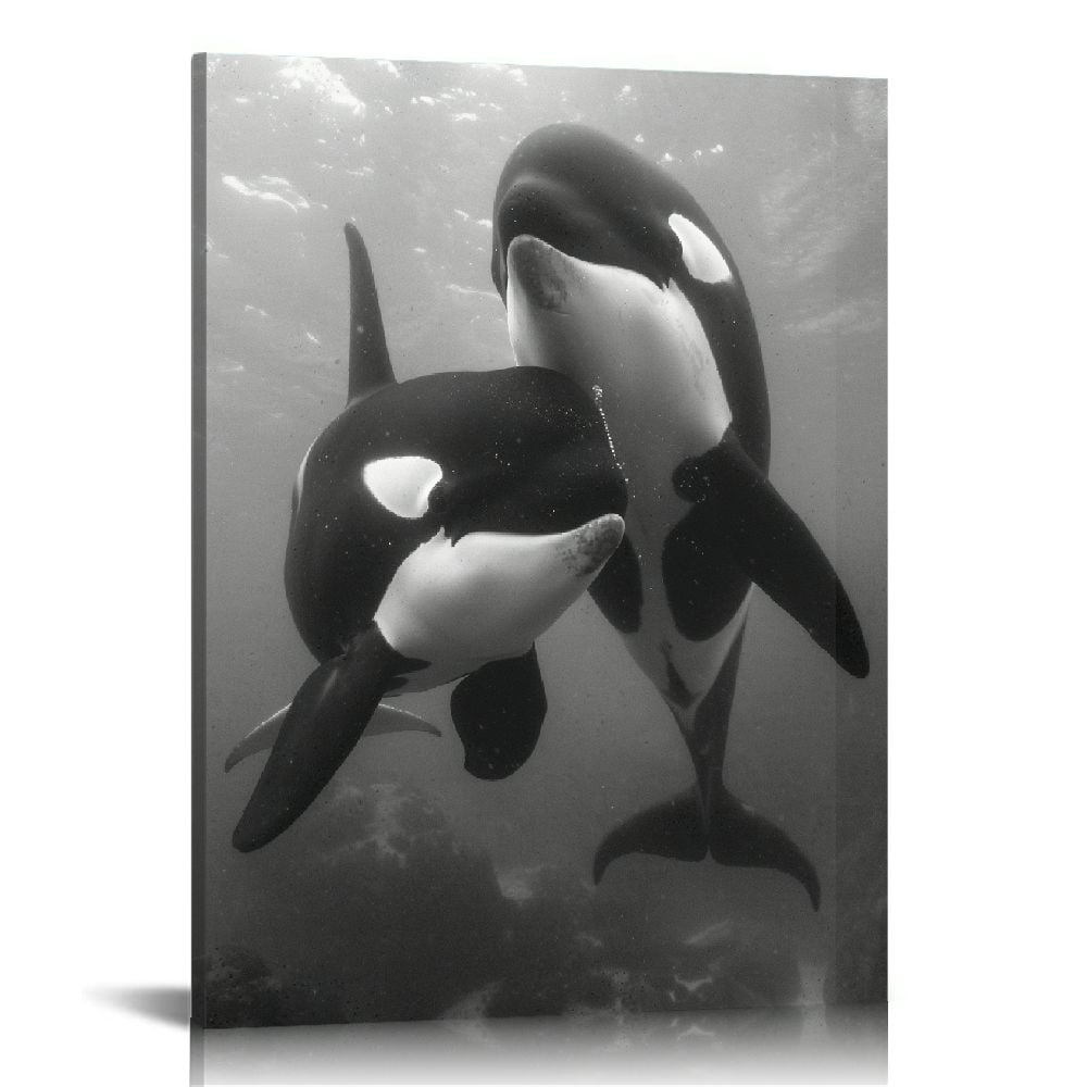 Jiayy Orca Killer Whale Under Sea poster Canvas Wall Art Modern Home ...
