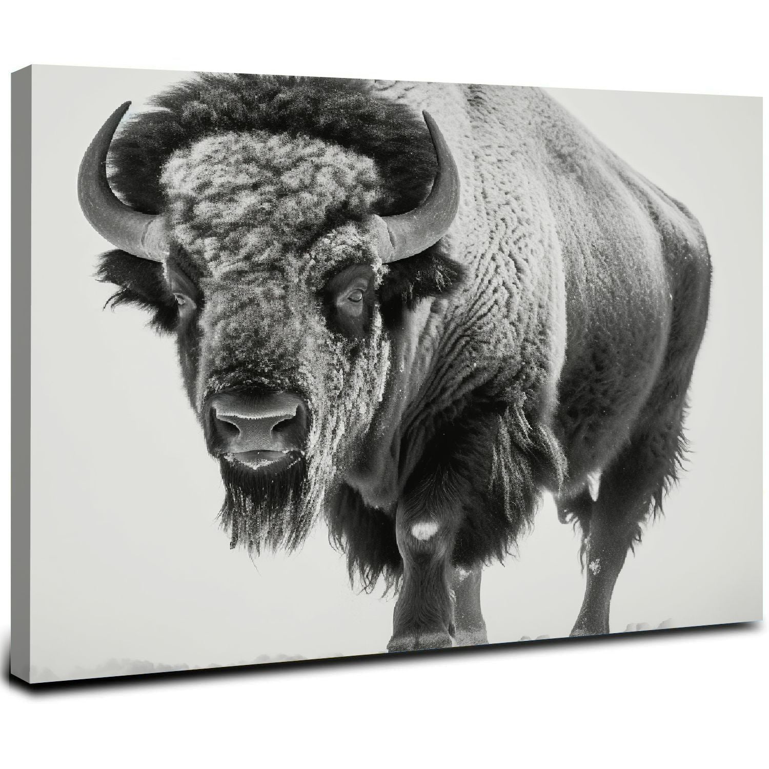 ARISTURING Sylvie Bison in Snow Black and White Framed Canvas Wall Art ...