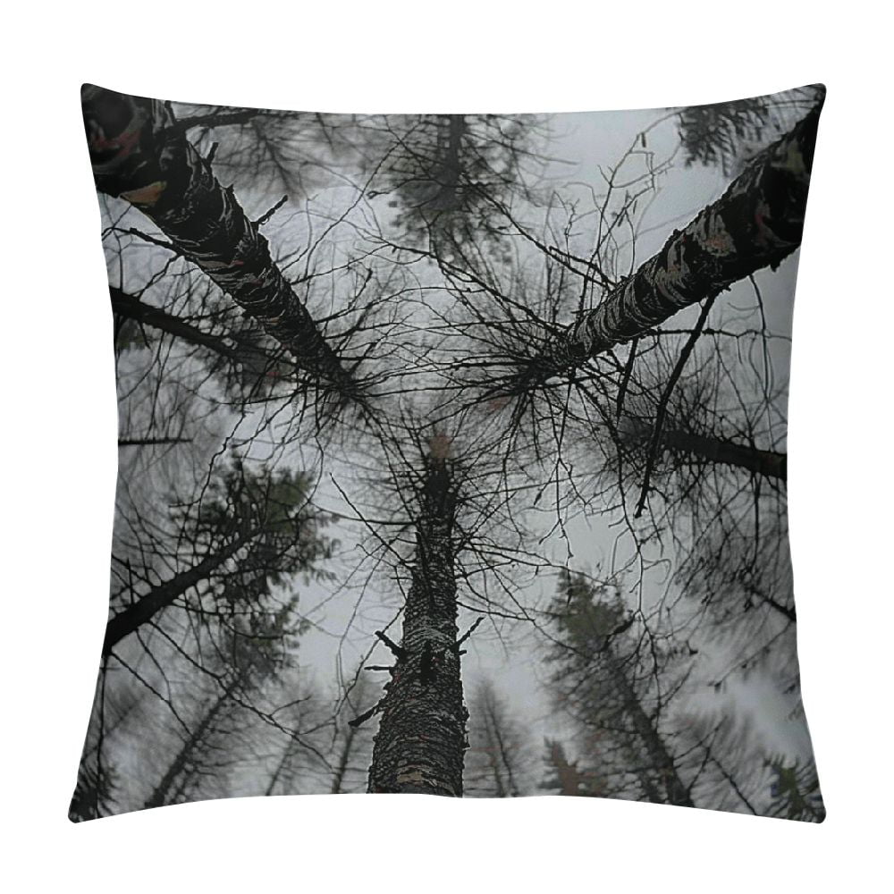 ARISTURING Throw Pillow Cover Trees Look Up Nature Rural Leaf Scenery ...