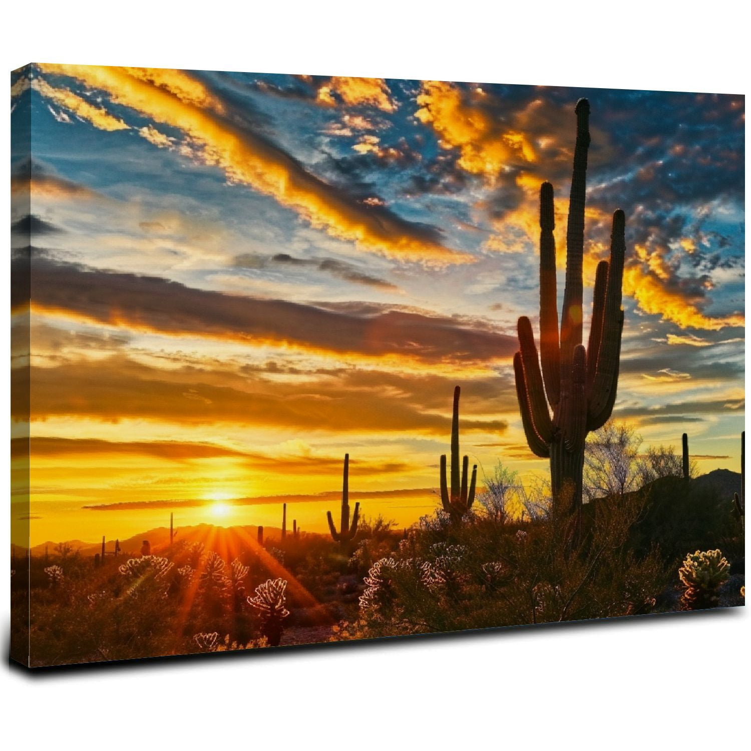 ARISTURING Wall Large Size Canvas Art Decor Sonoran Desert Picture ...