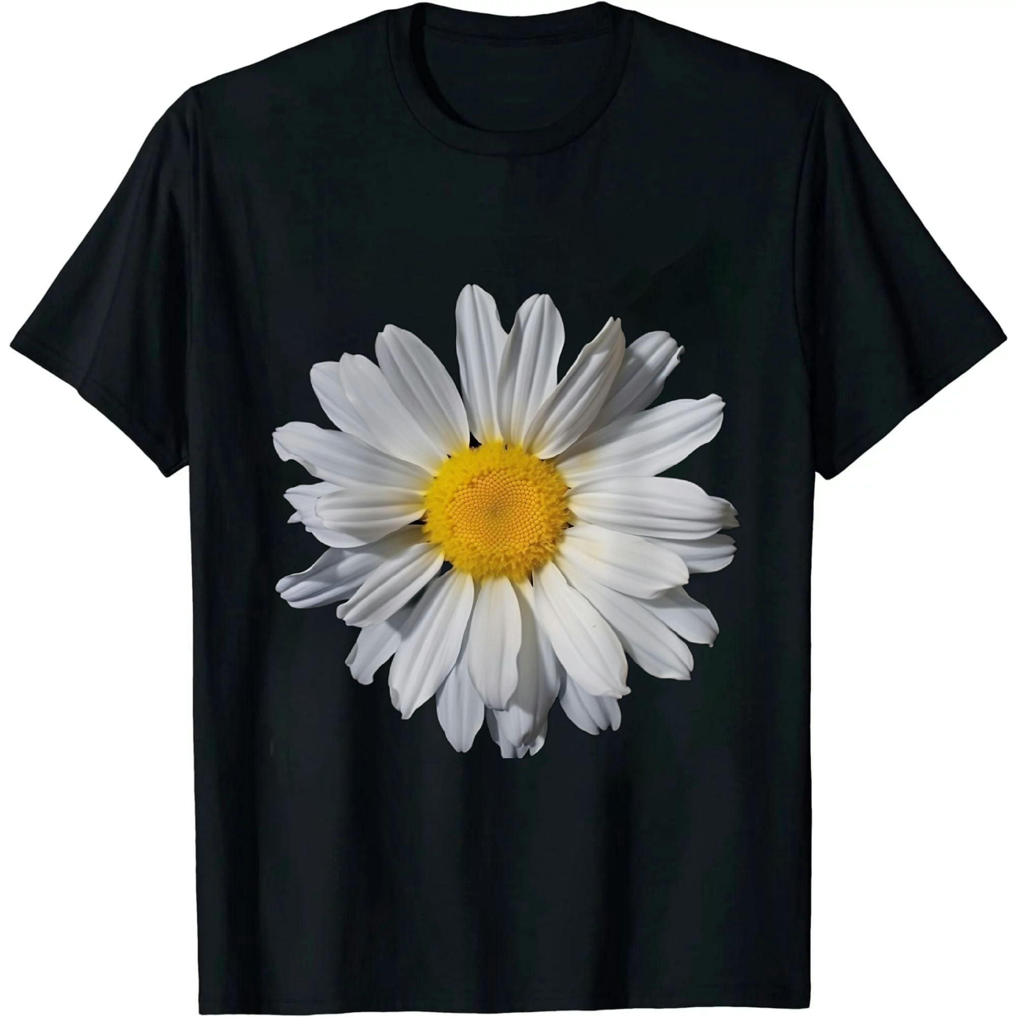 ARISTURING white daisy flower, blooming daisy, blooms, flowery, daisies ...