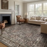 ARJINCUTE Distressed Vintage Low Pile Area Rugs 8'x10', Non-Slips ...