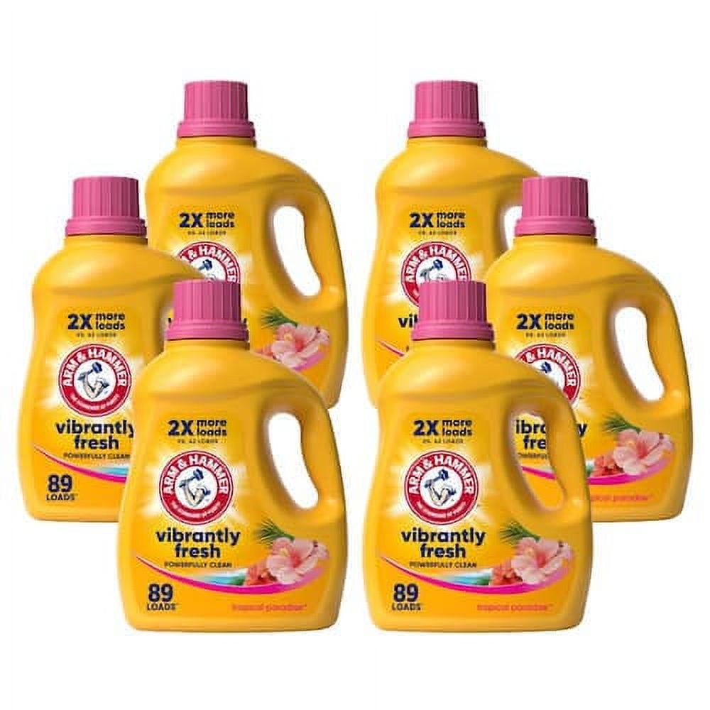 ARM & HAMMER 102.5 fl. oz. Tropical Paradise Dual HE Liquid Laundry ...