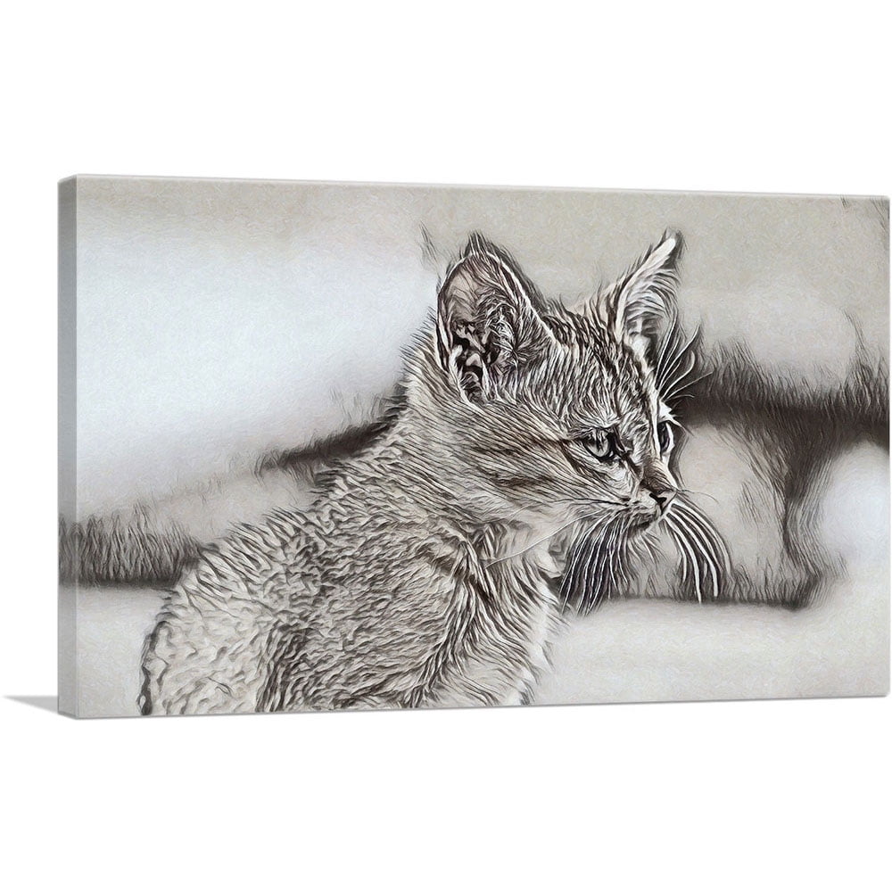 ARTCANVAS Abyssinian Cat Breed Sketch Canvas Art Print - Size: 40" x 26 ...