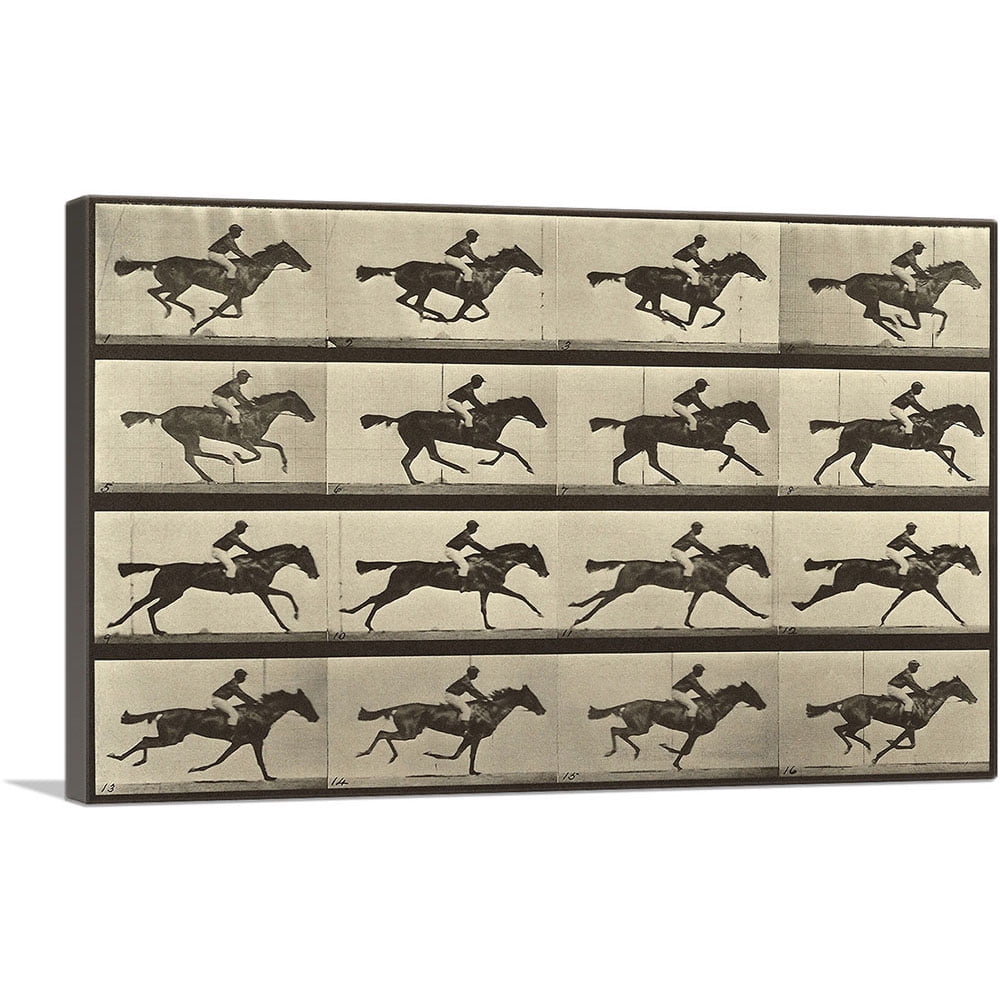 ARTCANVAS Animal Locomotion - Race Horse Canvas Art Print by Eadweard ...