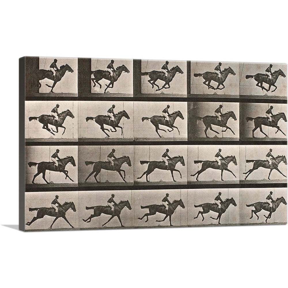 ARTCANVAS Animal Locomotion - The Gallop 1887 (2) Canvas Art Print by ...