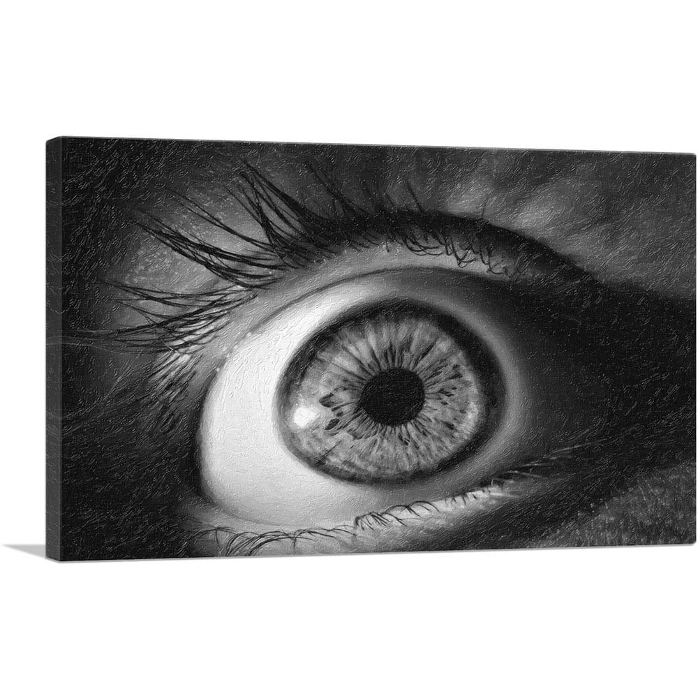 ARTCANVAS Black And White Eye Home decor Canvas Art Print - Size: 40" x ...