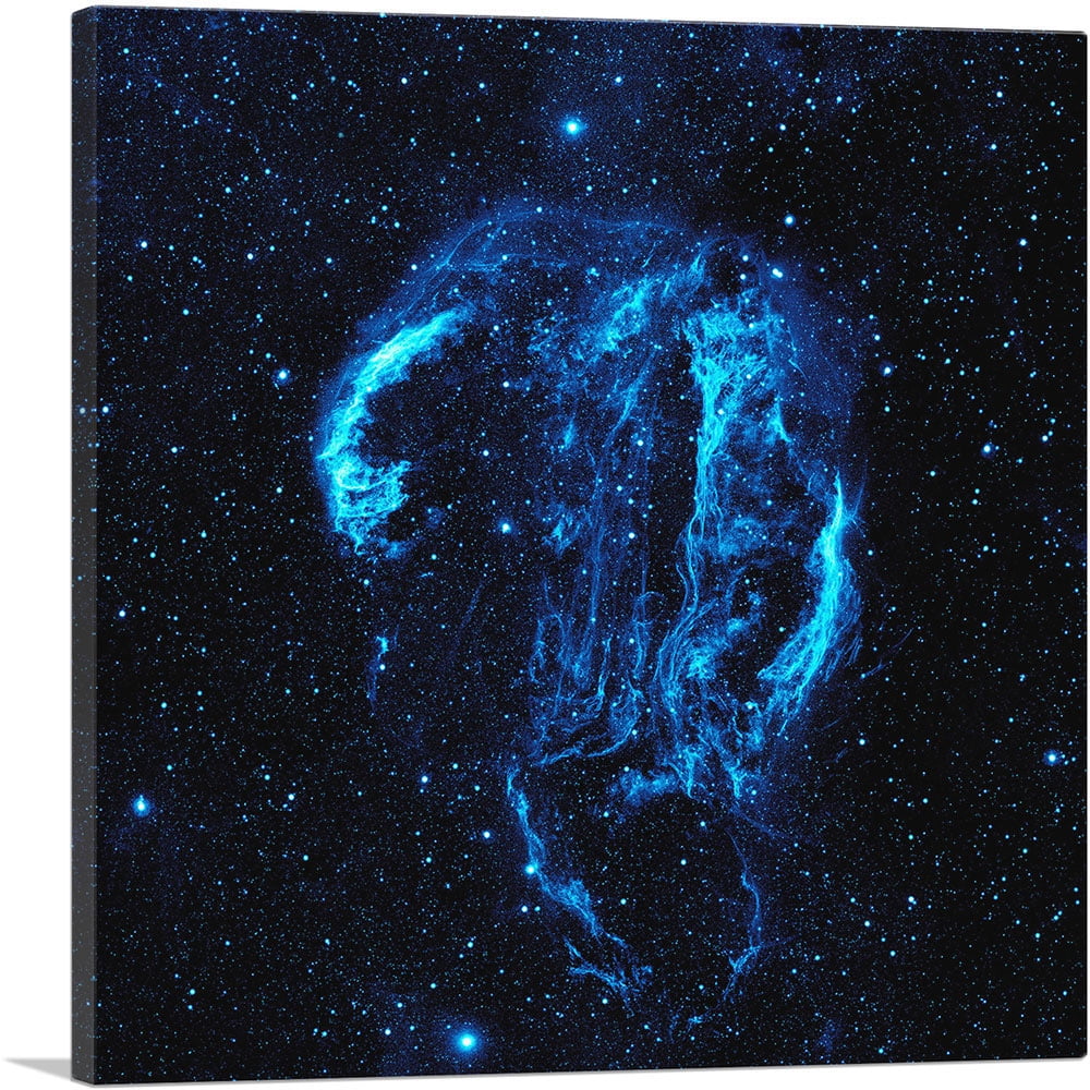 ARTCANVAS Cygnus Loop Nebula Hubble Telescope NASA Photograph Canvas ...