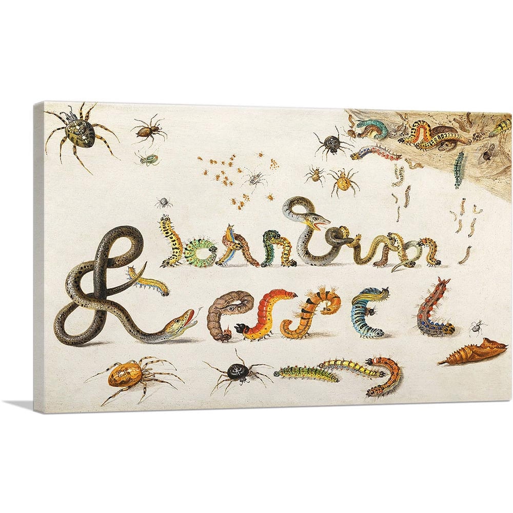 ARTCANVAS Garden And House Spiders Grass Snakes Caterpillars To Spell ...