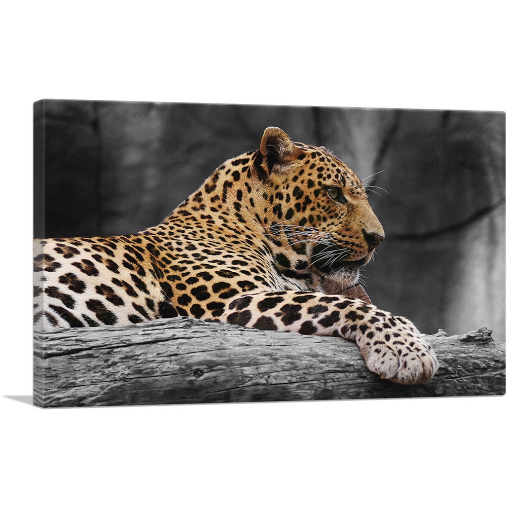 ARTCANVAS Leopard On Log Canvas Art Print - Size: 60" x 40" (1.50" Deep ...