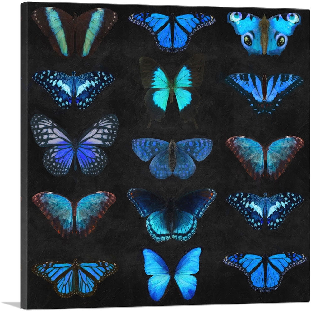 ARTCANVAS Navy Baby Blue Butterfly Wings Insect Black Canvas Art Print ...