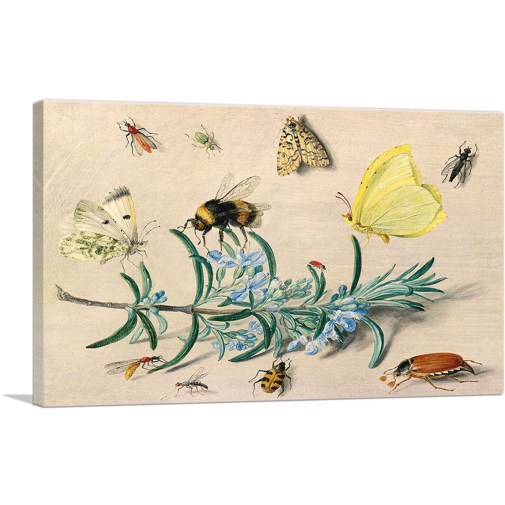 ARTCANVAS Still Life Study Insects On a Spring Of Rosemary Butterflies Bumble Bee1653 Canvas Art ...