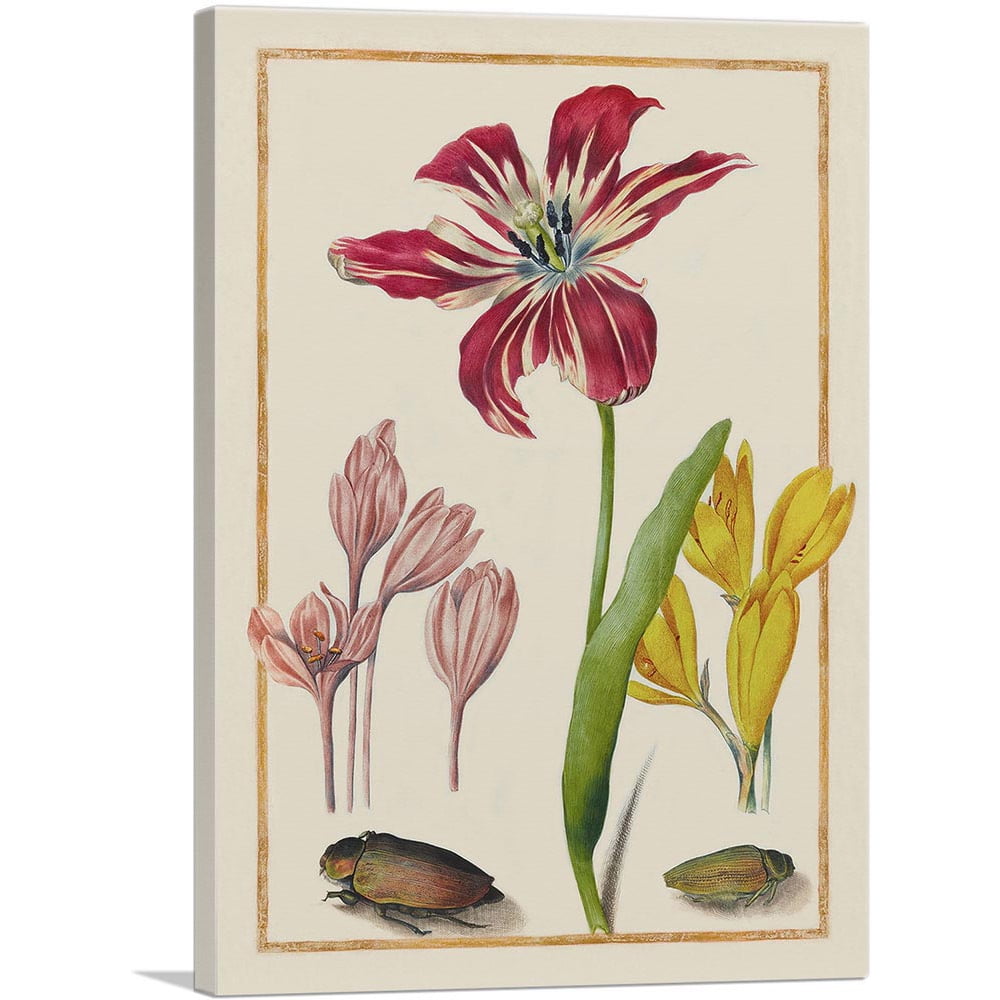 ARTCANVAS Study Of a Tulip Two Crocuses And Two Insects Canvas Art ...