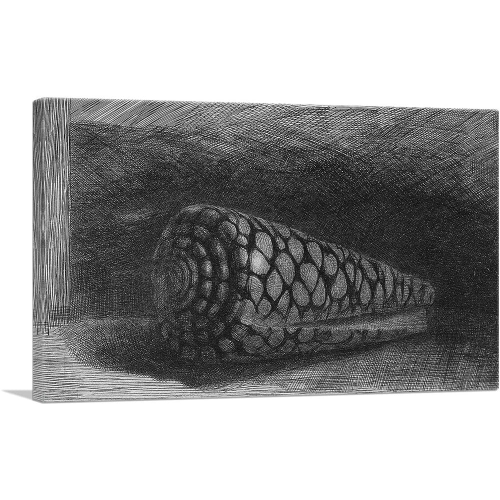 ARTCANVAS The Shell 1650 Canvas Art Print by Rembrandt van Rijn - Size ...