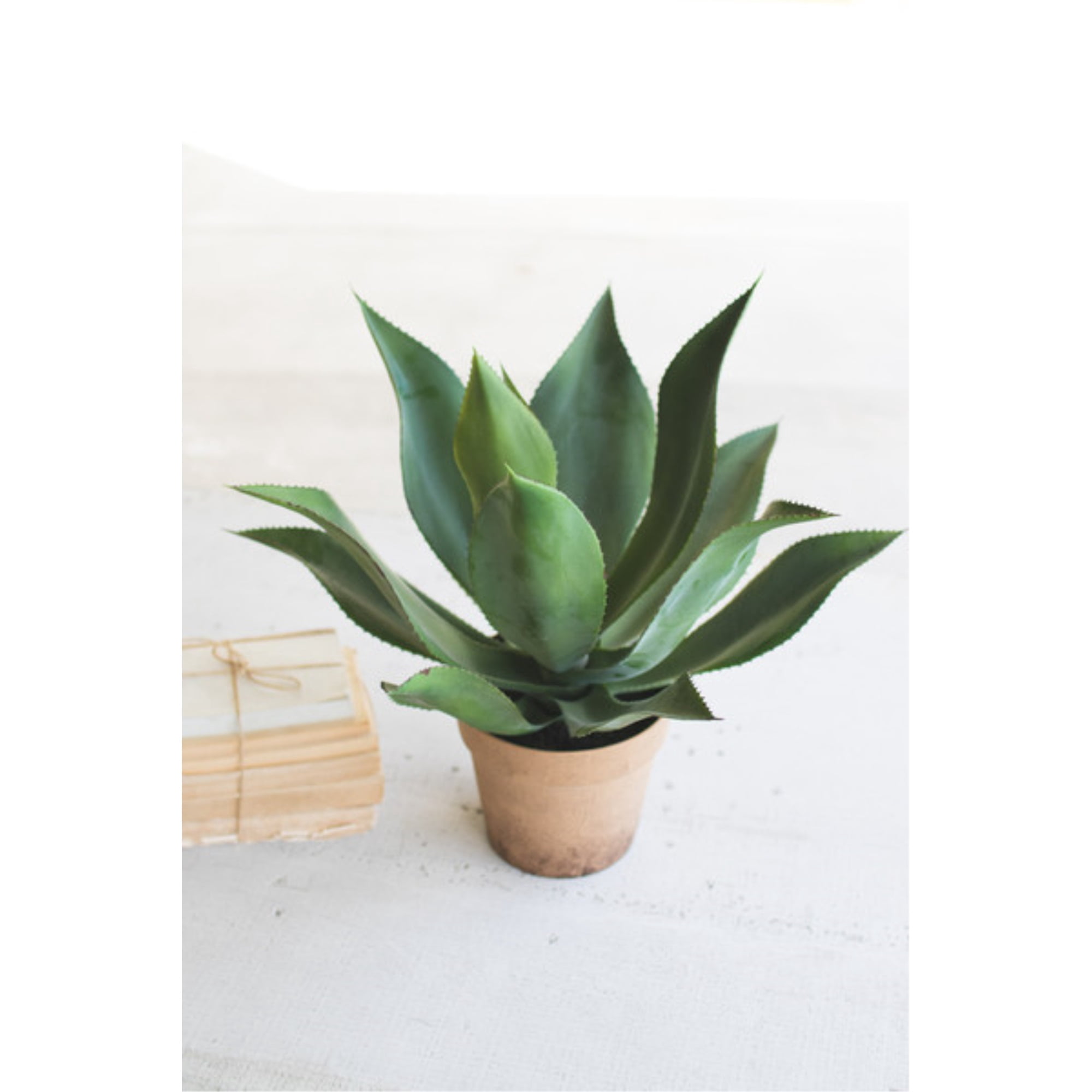 ARTIFICIAL AGAVE IN A PAINTED PLASTIC POT - Walmart.com