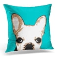 ARTJIA Cute Dog French Bulldog Pop Modern Pillowcase Cover 16x16 inch ...