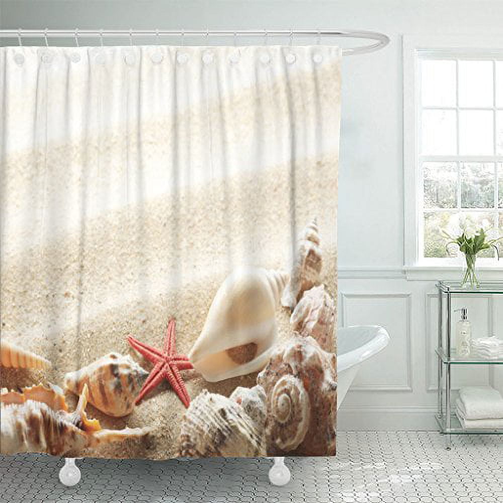 ARTJIA Sea Shells With Sand As Starfish Nature Seashell Coast Coastline ...