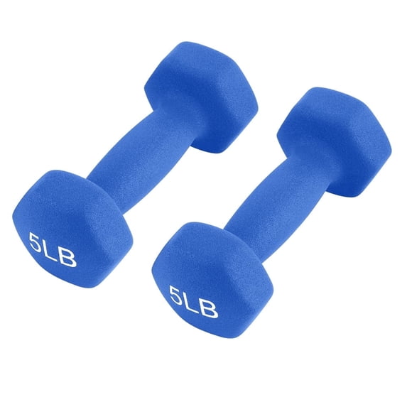 ARVAKOR Weights Dumbbells Set for Women, 2-8 Pound Dumbbells Set of 2 ...
